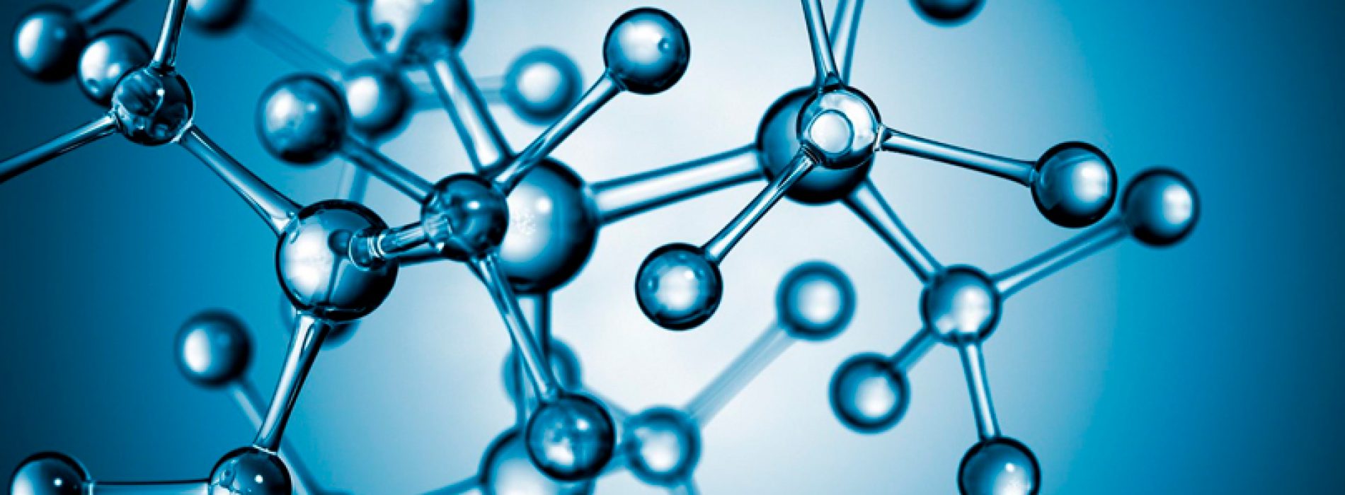 Reuni n Titulados De Bioqu mica Universidad De Chile 25 De Mayo De 2018
