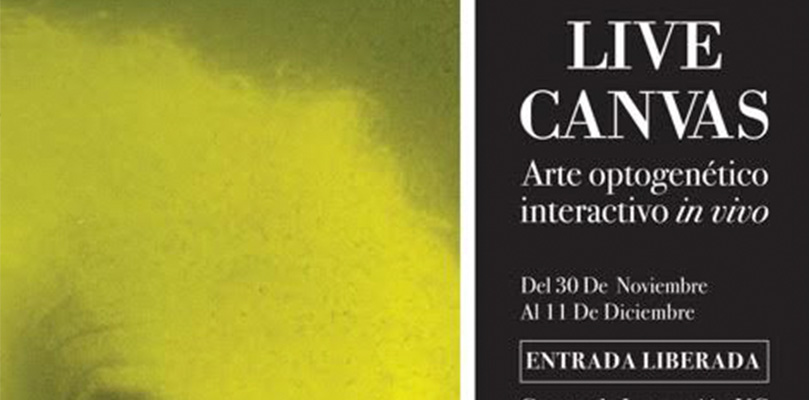 1er Concurso Fotográfico LIVE CANVAS | Sociedad de Bioquímica y ...