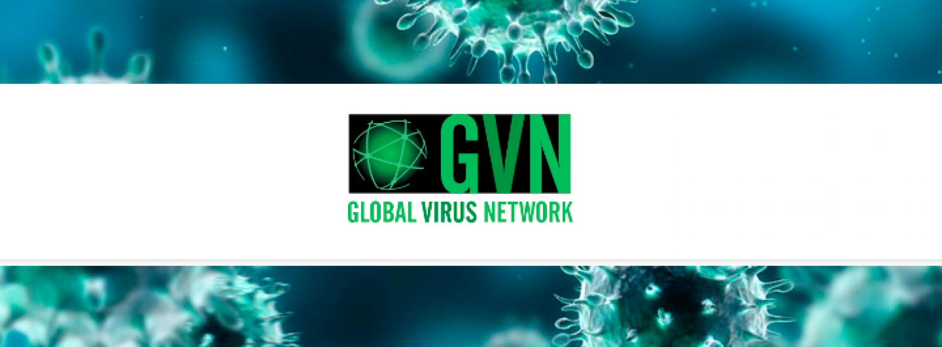 3rd Annual Short Course for emerging leaders in Medical Virology of the ...
