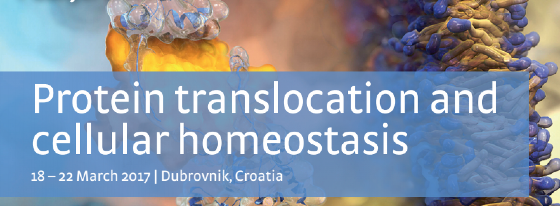 EMBO Conference Protein translocation and cellular homeostasis, 18-22 ...