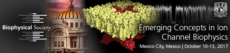 Emerging Concepts in Ion Channel Biophysics – Mexico City, Mexico ...
