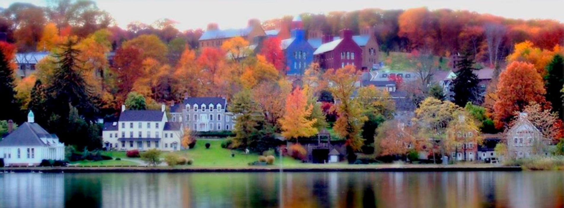 Proteins & Proteomics Protocols From Cold Spring Harbor | Sociedad de ...