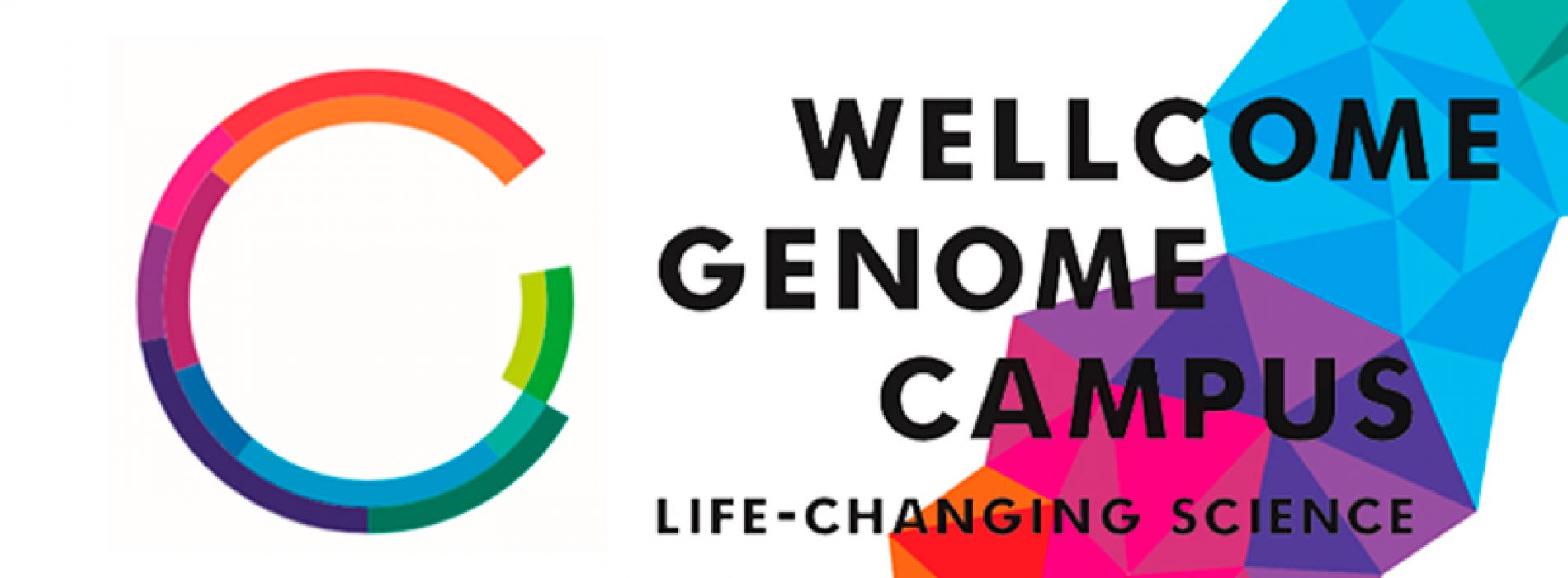 Next Generation Sequencing Bioinformatics Sociedad De Bioquímica Y