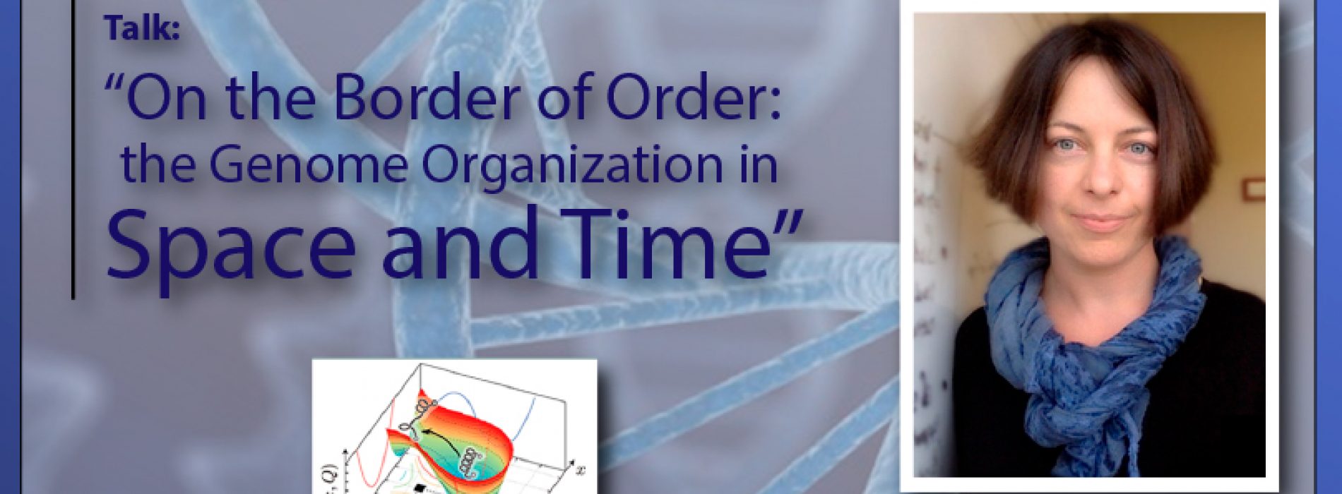 Talk: “On the Border of Order: the Genome Organization in Space and ...
