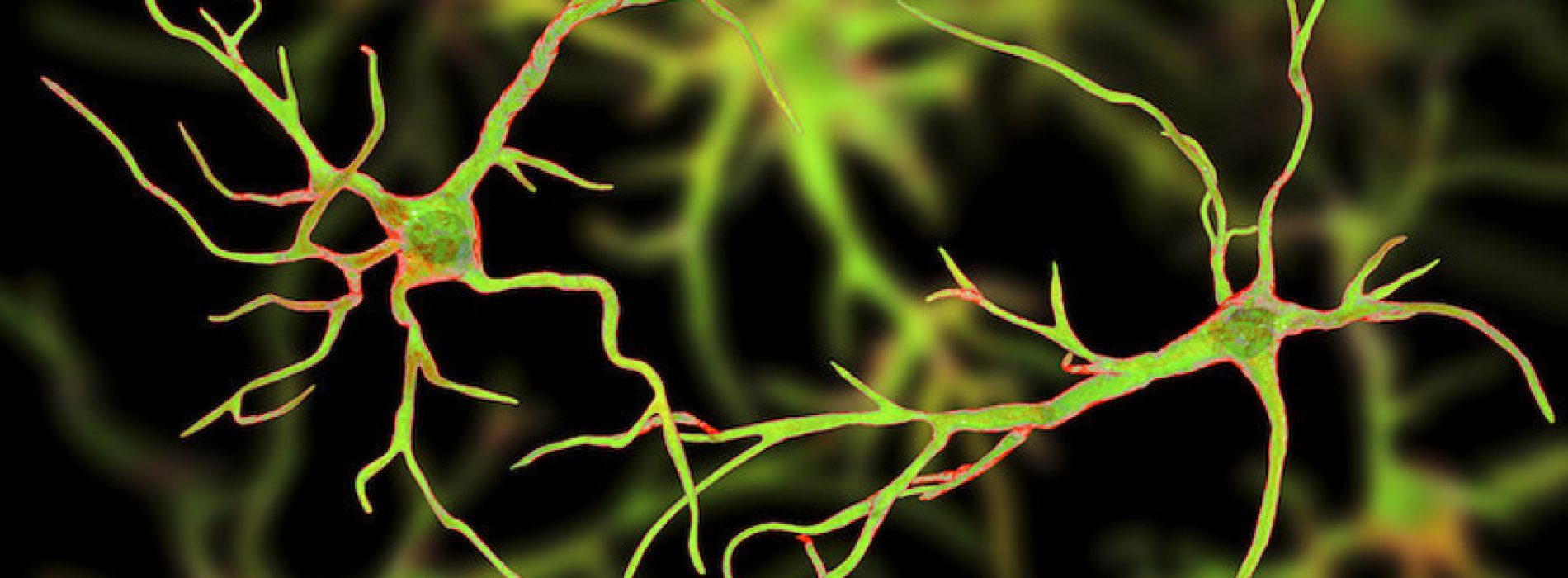 Genes Zombies? Estudio demuestra que la expresión de algunos genes ...